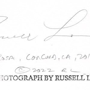 Rosa, 11"x16" Photograph - 5 Star Model 2 Star Motel Series - Concord ...