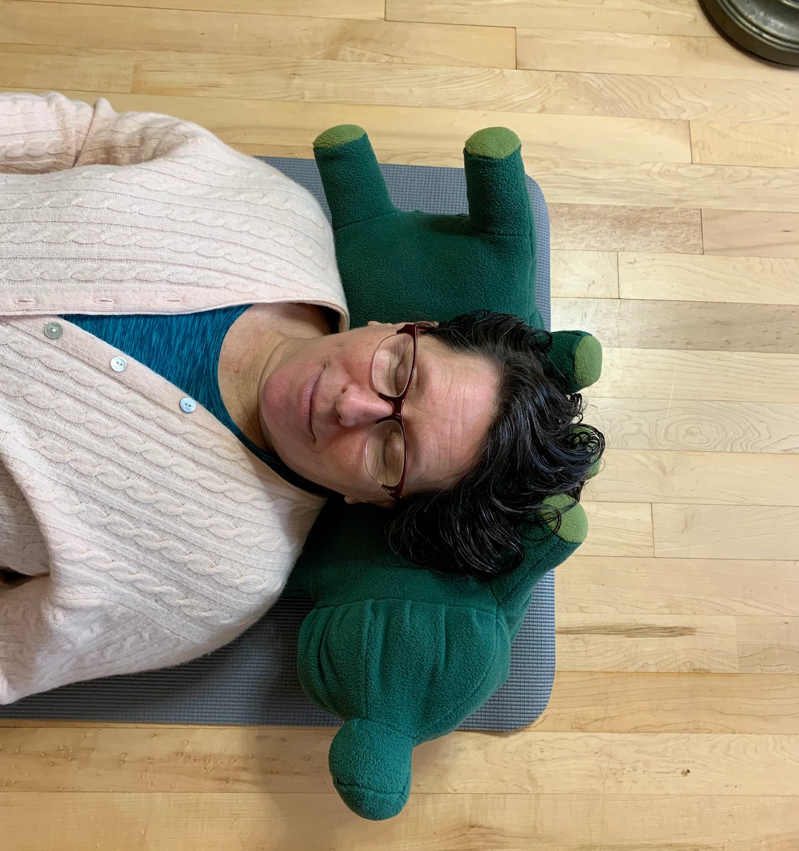 Plush Tardigrade / Water Bear Sewing Pattern - Etsy