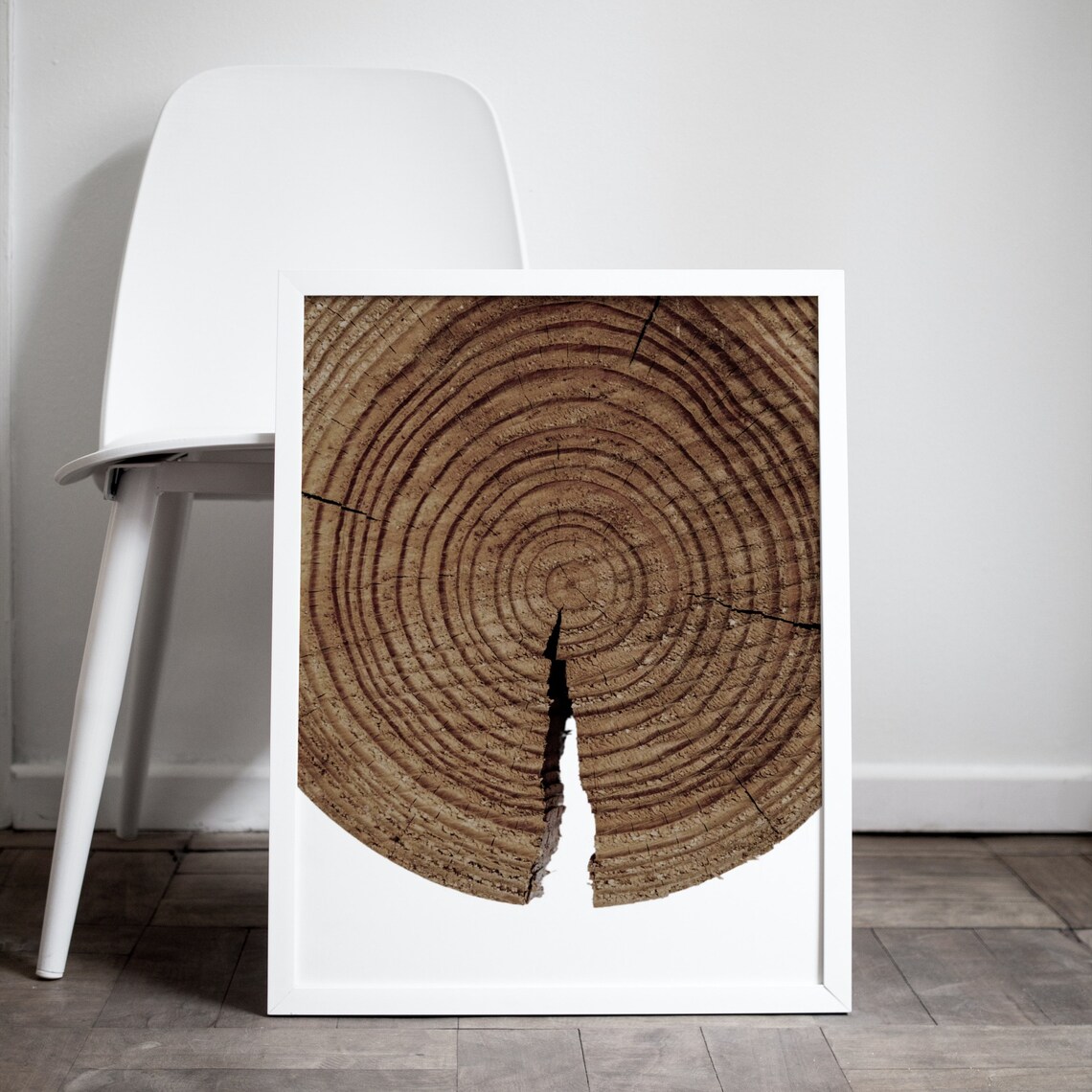 Tree Ring Slice Printable Set of 3 Tree Ring Print Three - Etsy