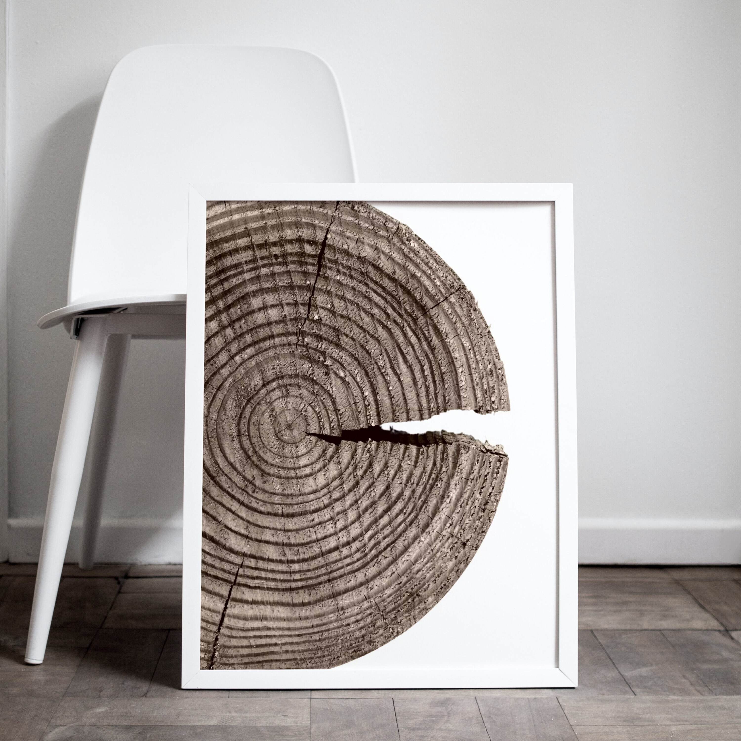 Tree Ring Slice Printable, Set of 3 Tree Ring Print, Three Tree Ring ...