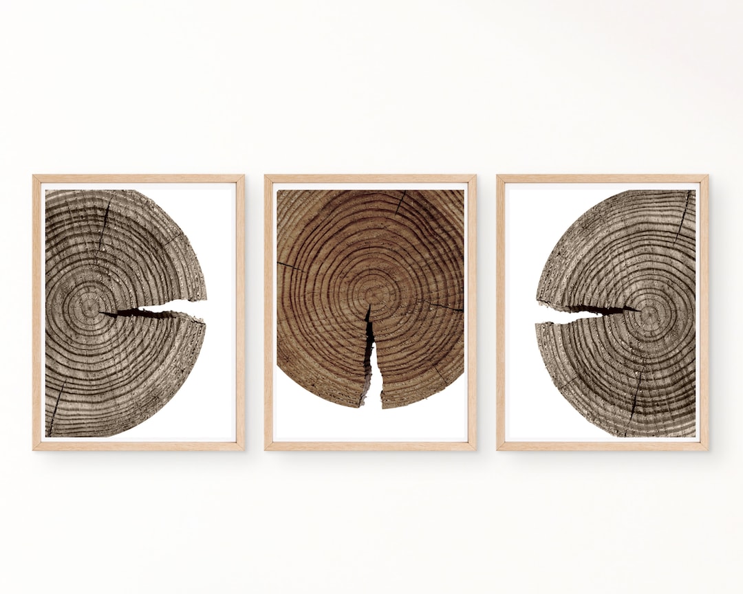 Tree Ring Slice Printable, Set of 3 Tree Ring Print, Three Tree Ring ...