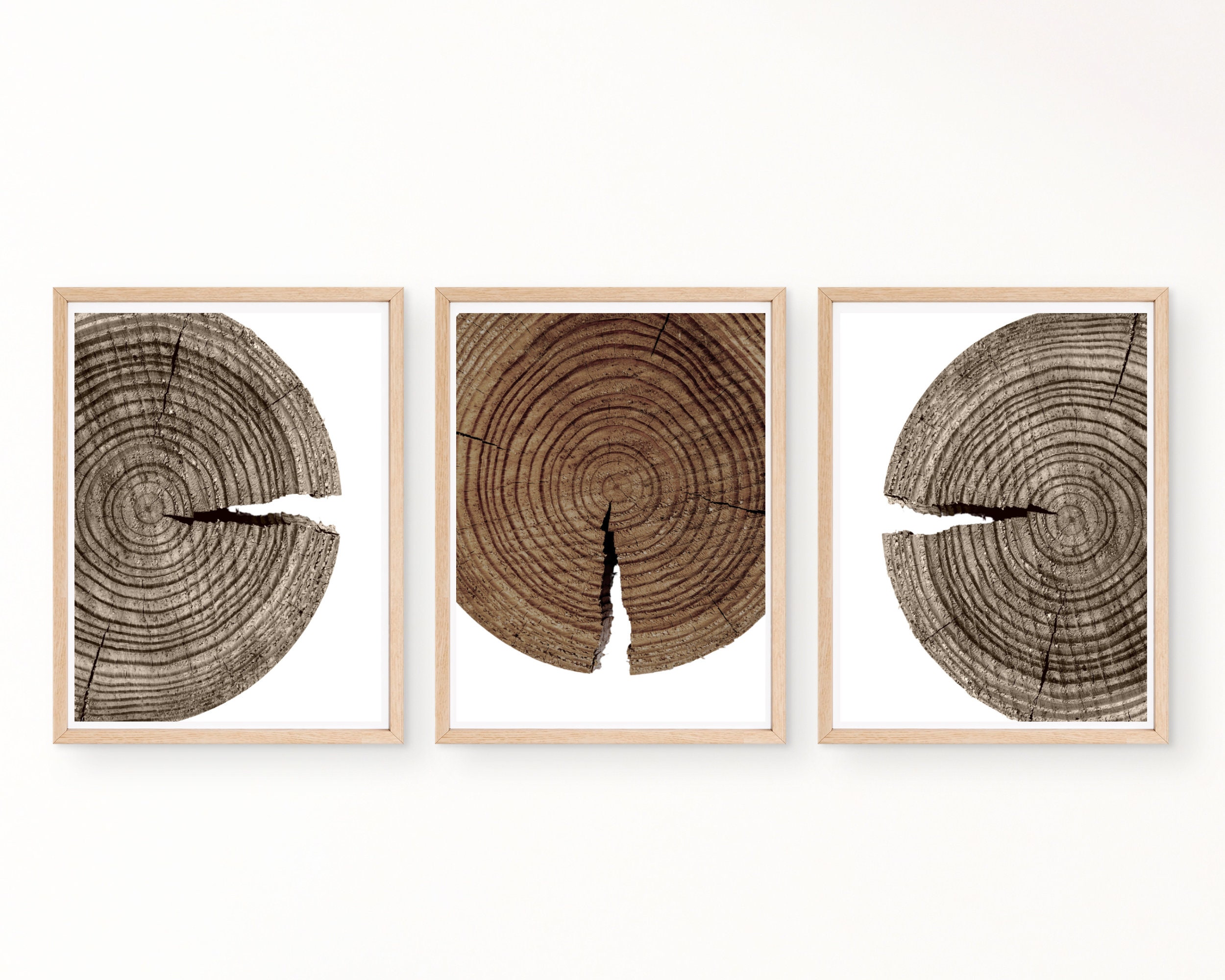Tree Ring Slice Printable, Set of 3 Tree Ring Print, Three Tree Ring ...