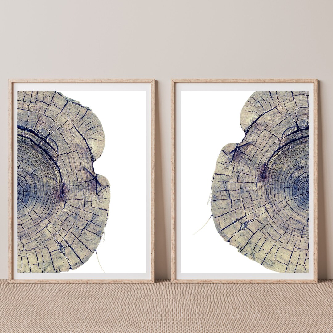 Set of 2 Tree Ring Printable, Two Piece Tree Ring Print, Log Slice Art ...