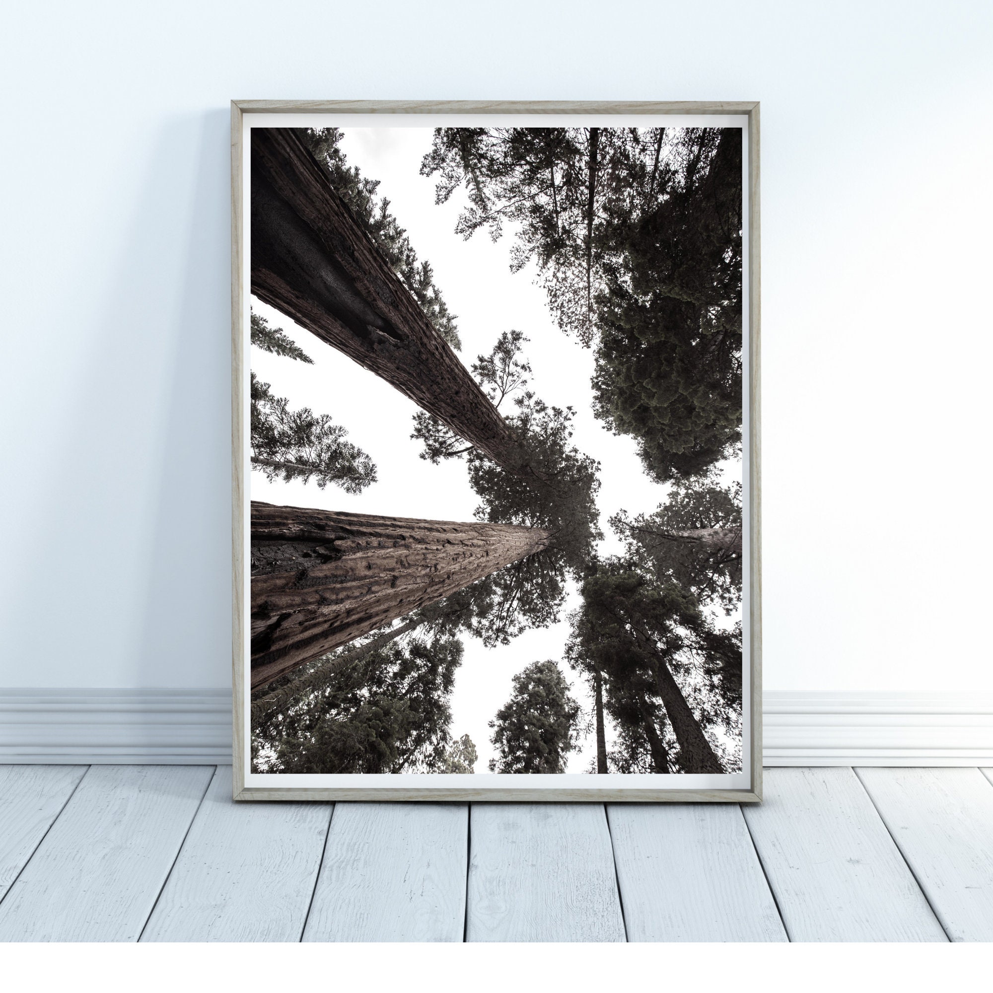Tree Printable, Wood Printable, Forest Printable, Woodland Printable ...