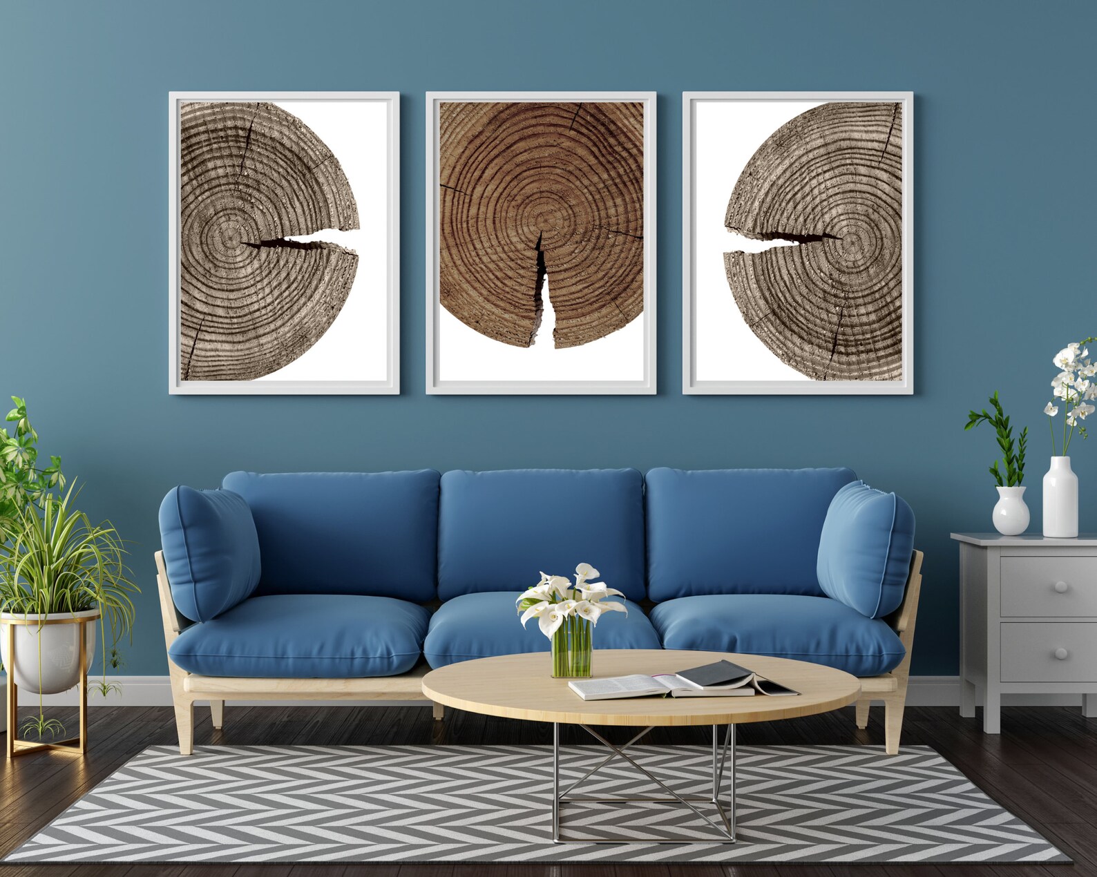 Tree Ring Slice Printable, Set of 3 Tree Ring Print, Three Tree Ring ...