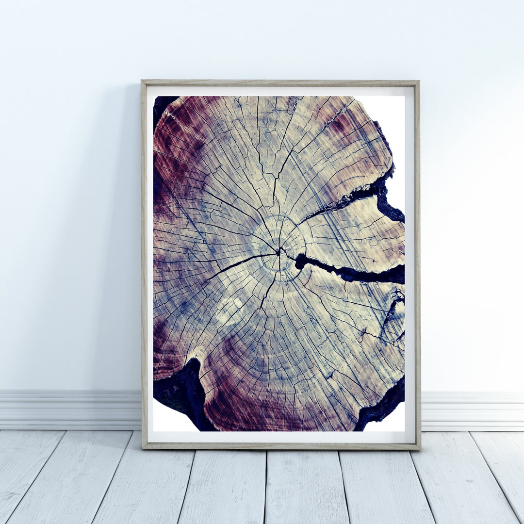 Tree Ring Print, Tree Ring Art Print, Tree Ring Printable, Home Decor ...