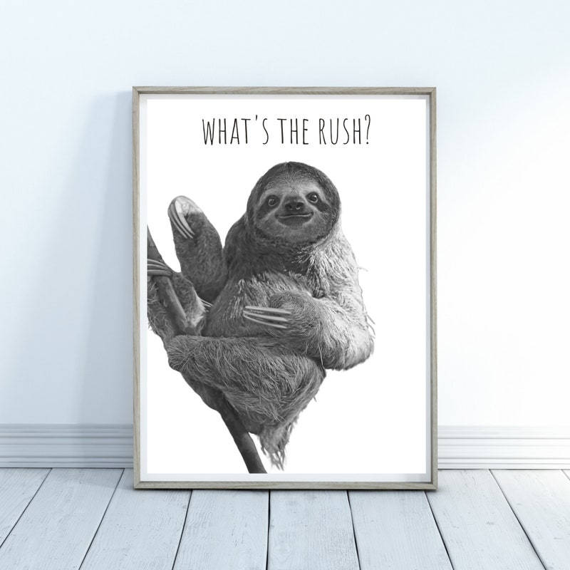 Sloth Art Print - Etsy