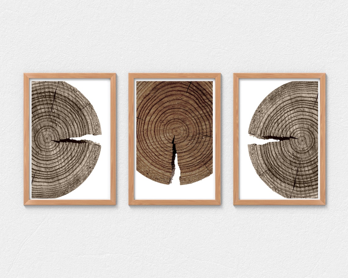Tree Ring Slice Printable Set of 3 Tree Ring Print Three - Etsy