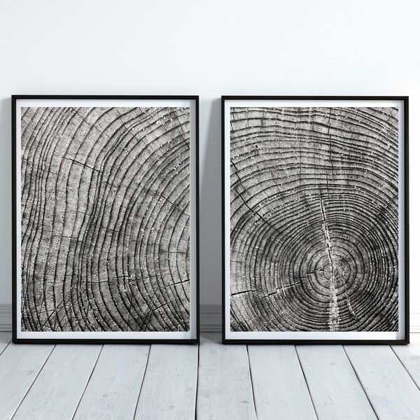 Tree Ring Art - Etsy