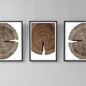 Tree Ring Slice Printable, Set of 3 Tree Ring Print, Three Tree Ring ...