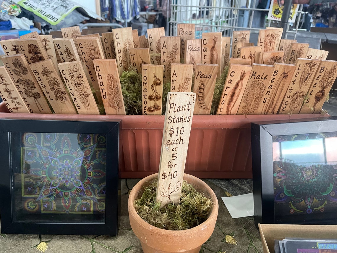 Cilantro Plant Identification Stake - Etsy