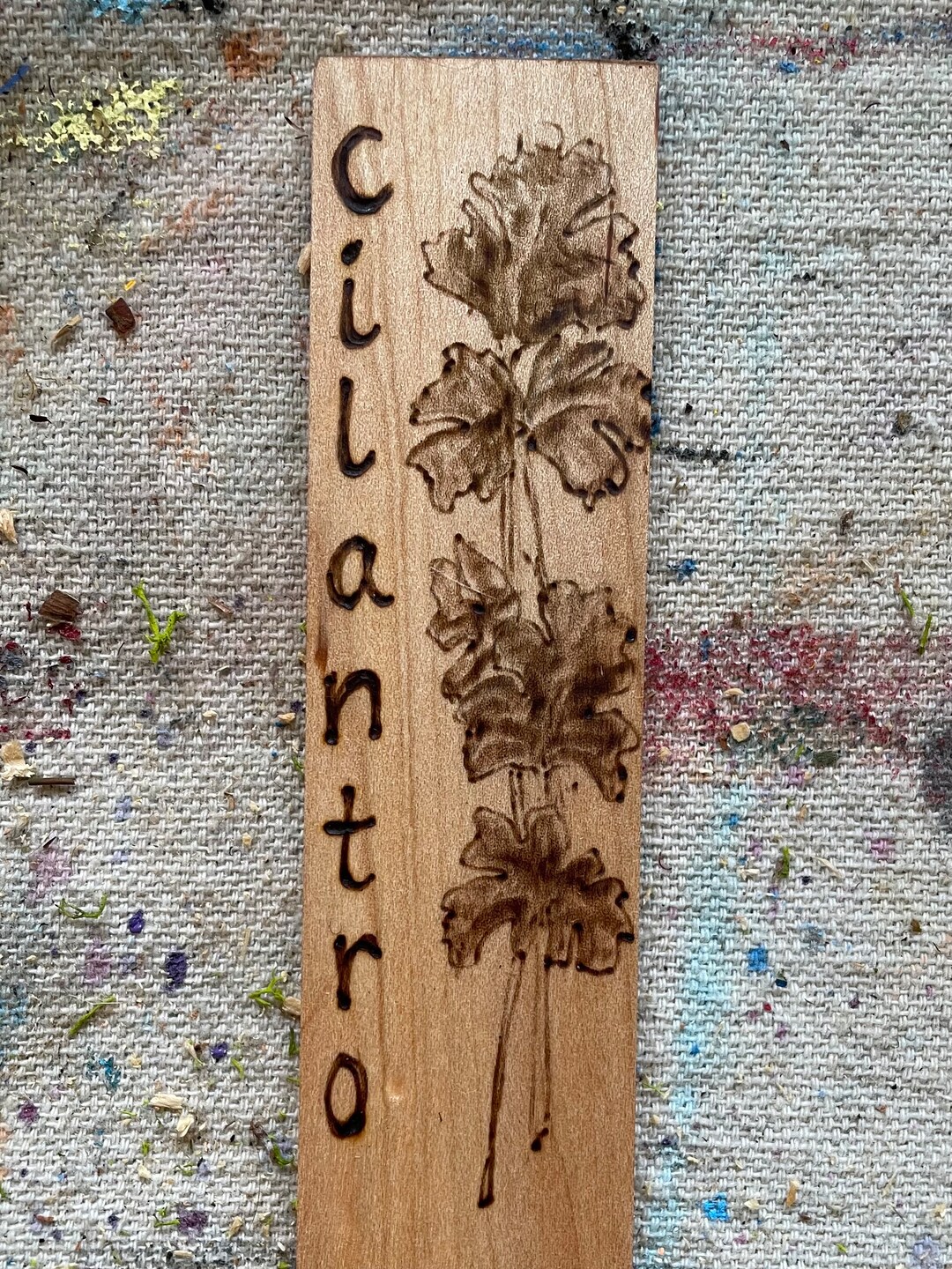 Cilantro Plant Identification Stake - Etsy