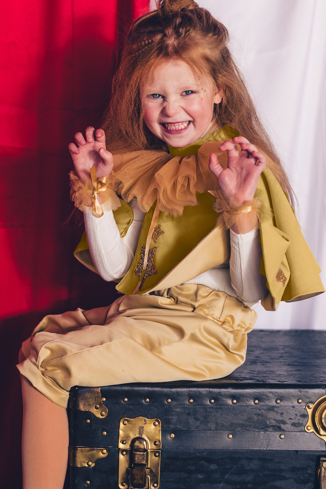 Circus Lion Star Capelet in Cotton Velvet With Gold Stars - Etsy