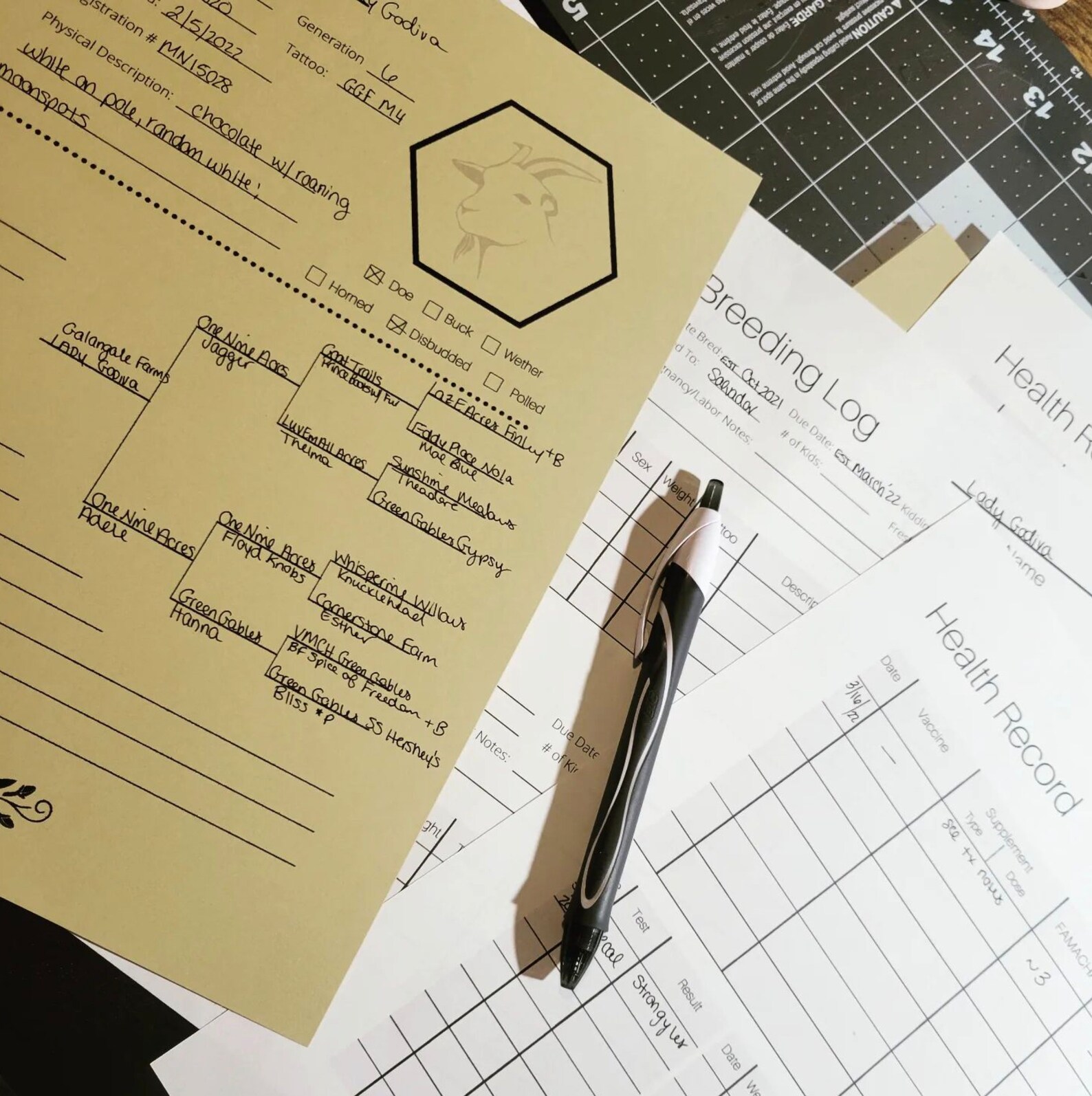 GOAT PLANNER, Printable Goat Records, Herd Log, Dairy Goat Farm, Pdf ...