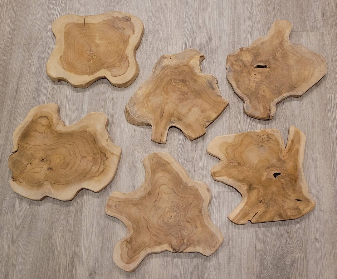 Larger Real Wood Tree Disc for Your DIY Project Perfect for Side Table ...