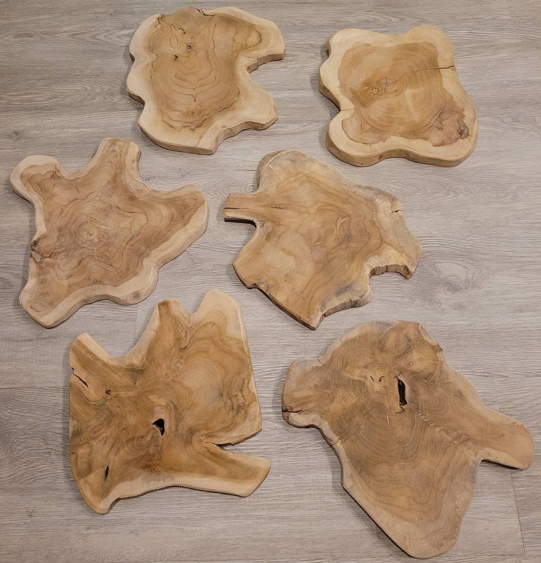 Larger Real Wood Tree Disc for Your DIY Project Perfect for Side Table ...