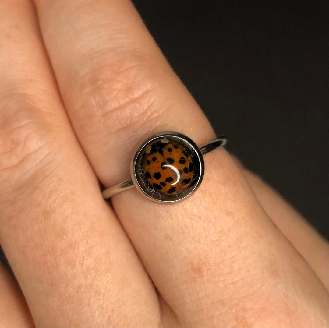 Real Insect Ring Asian Lady Beetle Adjustable Stainless Steel 8mm ...