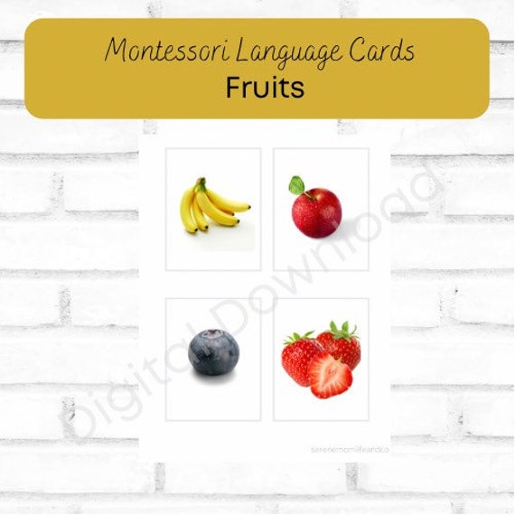 Montessori Language Cards-fruits | Etsy