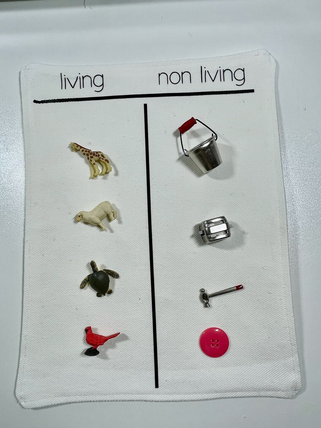 Montessori Living and Non-living Sorting Mat - Etsy