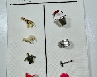 Living/non-living, Plants/animals, Vertebrates/invertebrates ALL ITEMS ...