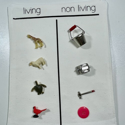Montessori Living and Non-living Sorting Mat - Etsy