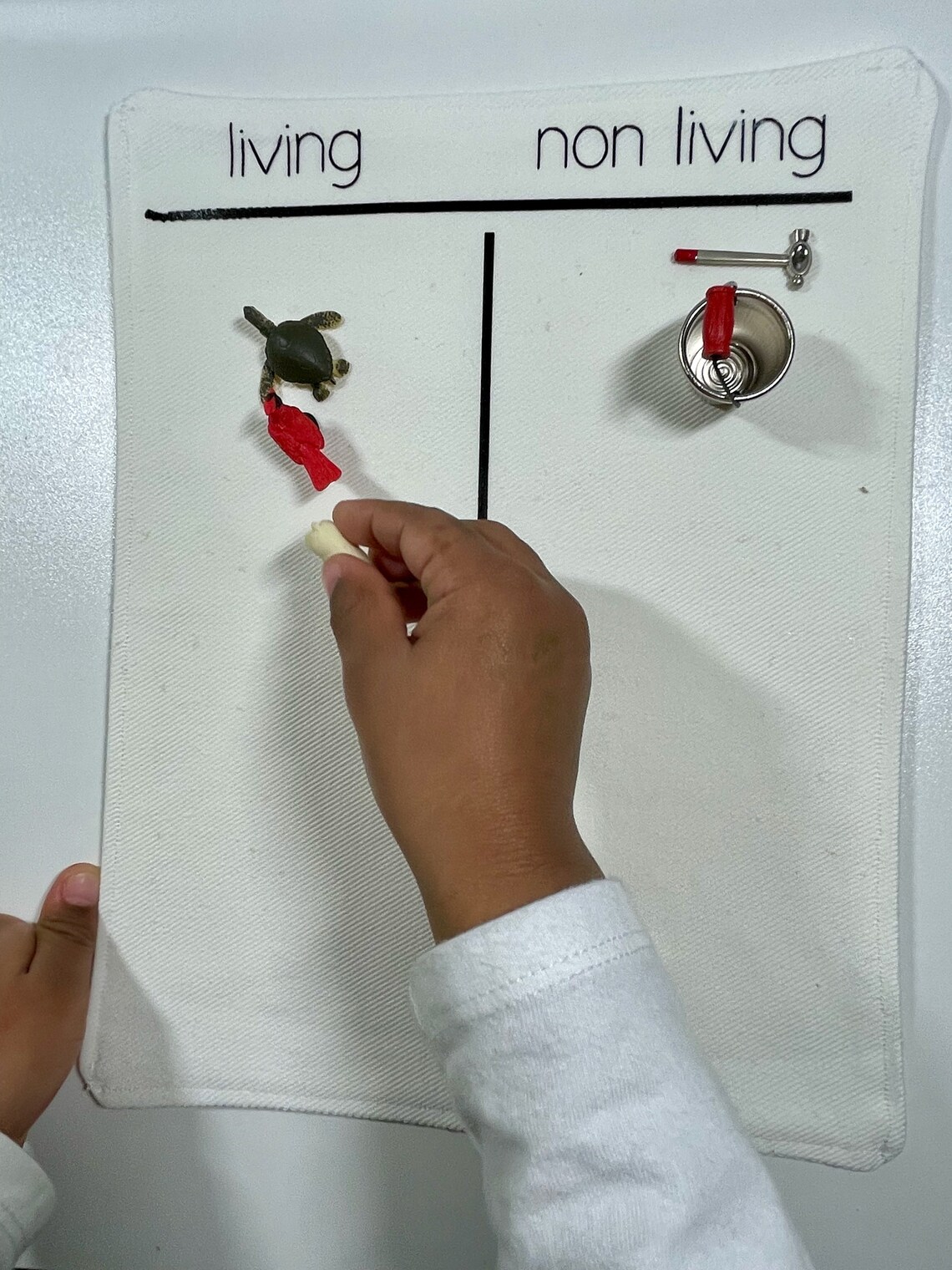 Montessori Living and Non-living Sorting Mat - Etsy