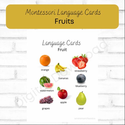 Montessori Language Cards-fruits - Etsy