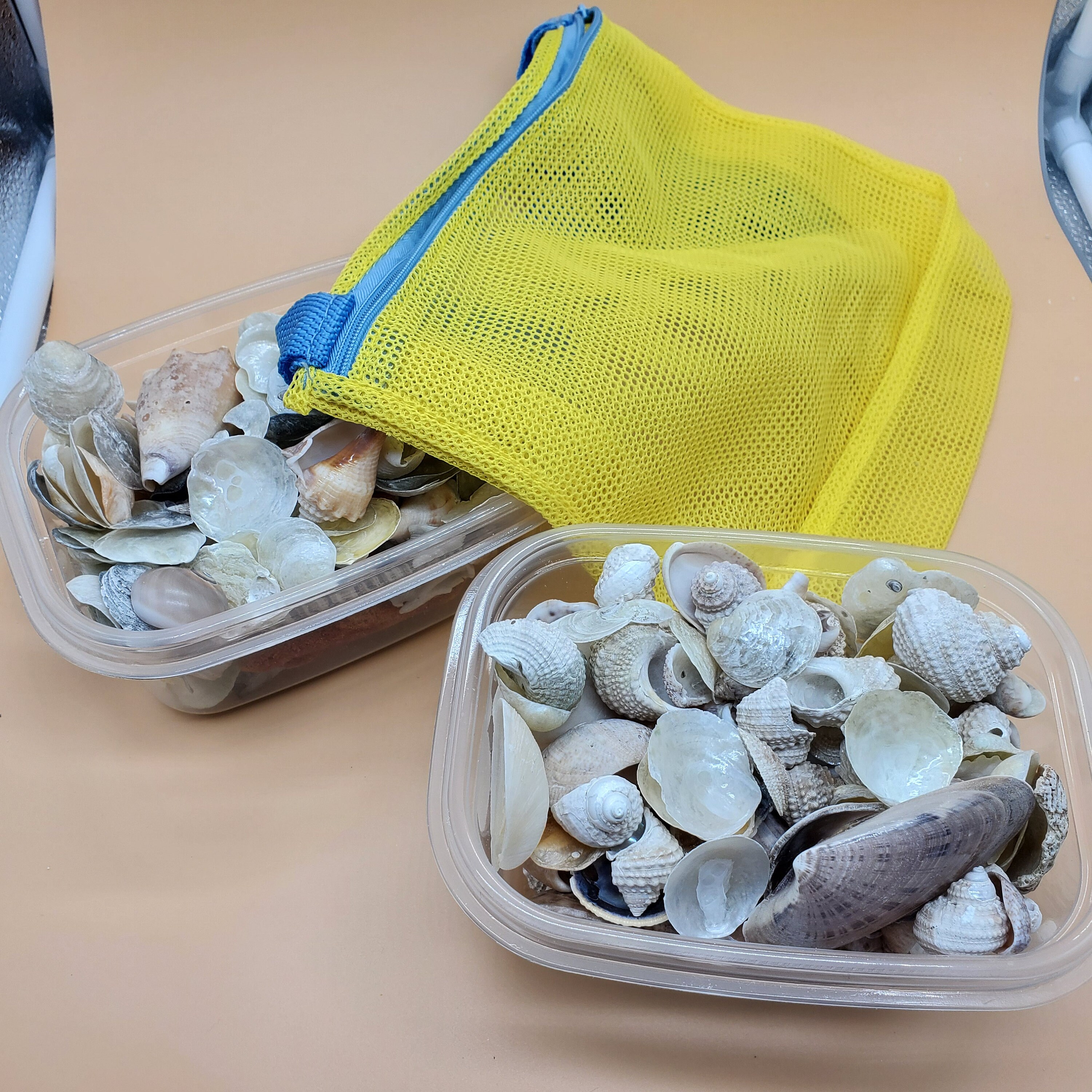 Shell Collecting Bag Colorful Mesh Seashell Bags With Zipper Adjustable ...