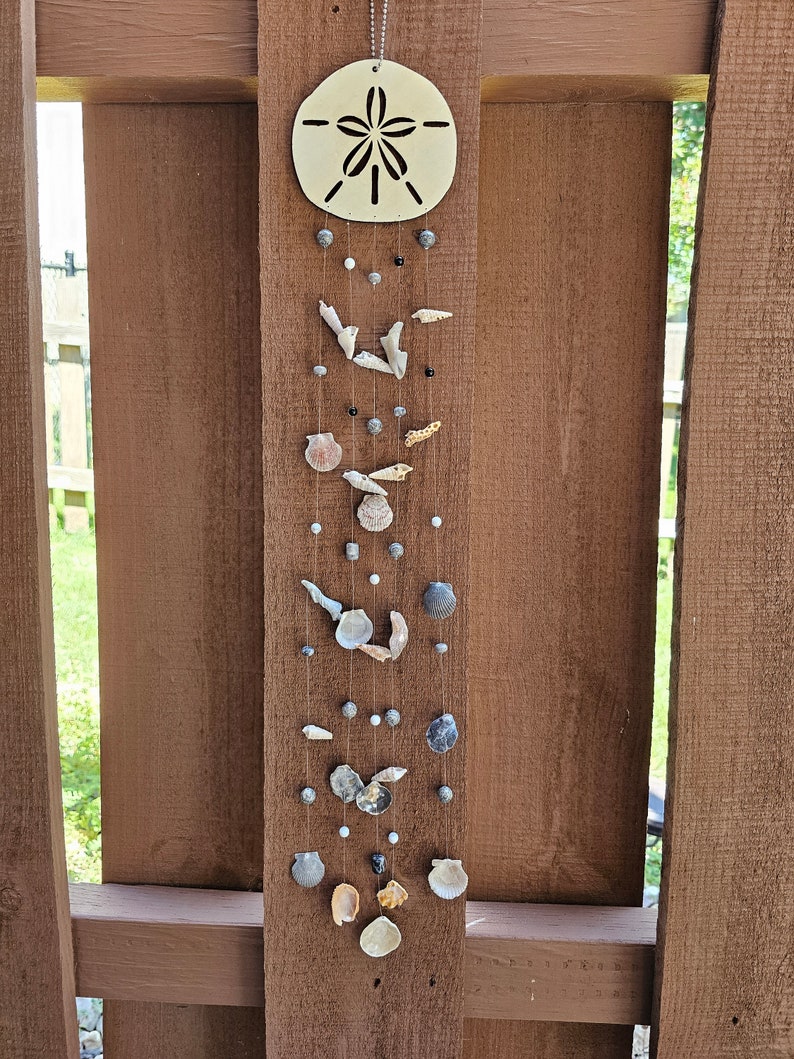 Sand Dollar Boho Beach Décor Seashell Art Beach Theme Gift Seashell ...