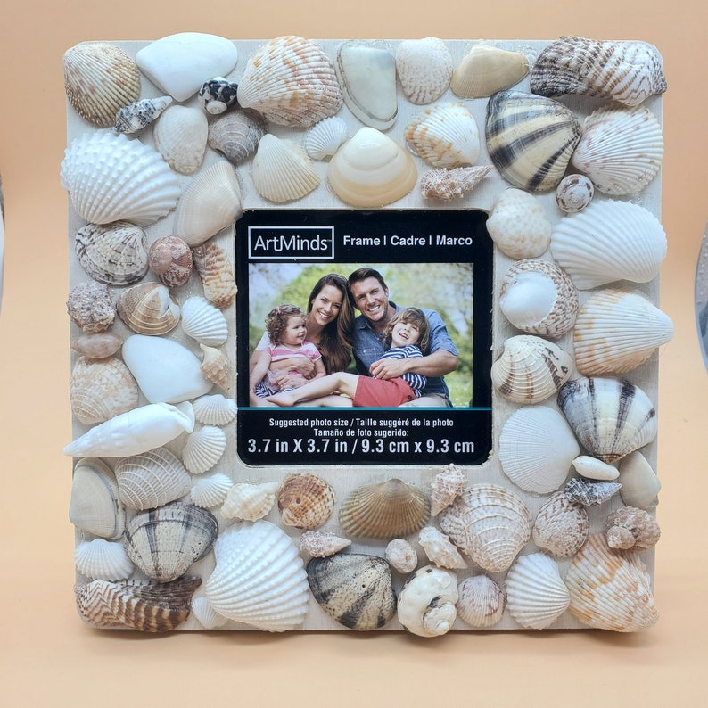 Seashell Frame Kit for Kids Summer Family Activity Beach DIY - Etsy