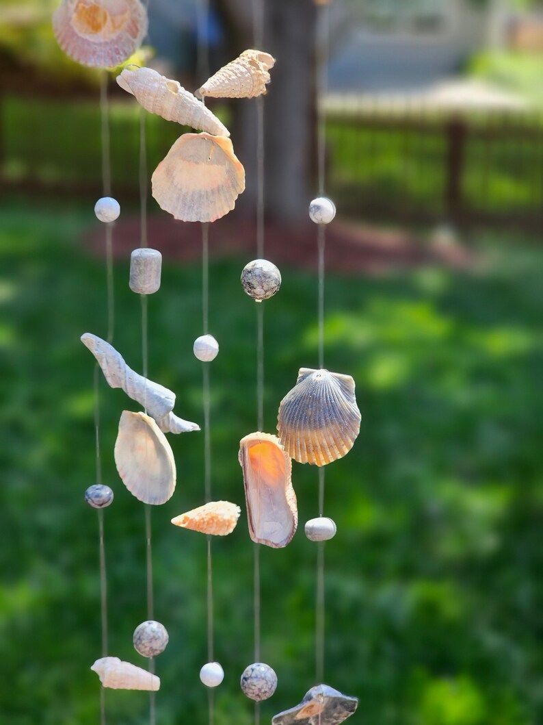 Sand Dollar Boho Beach Décor Seashell Art Beach Theme Gift Seashell ...