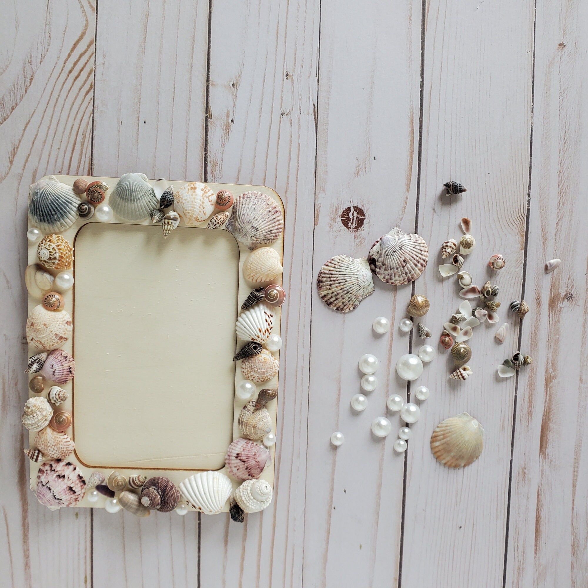 Seashell Frame Kit for Kids Summer Family Activity Beach DIY Rainy Day ...