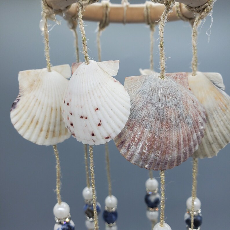 Seashell Wind Chime Scallop Shells Florida Beach Décor Etsy