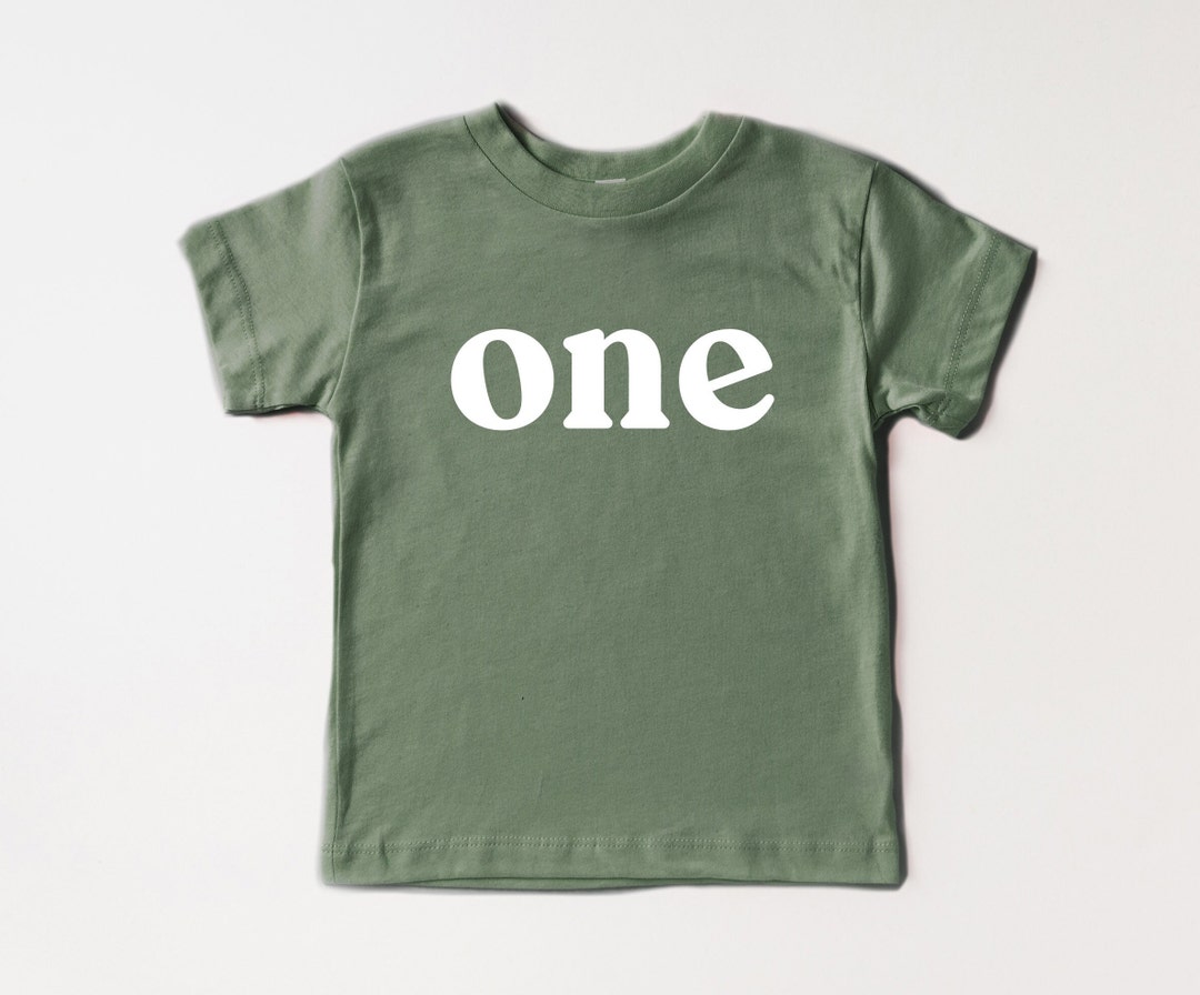 Organic Cotton One Birthday Babe Shirt, Minimalist Birthday Baby Shirt ...