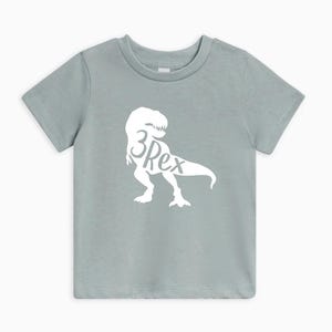 Organic Cotton Three 3rex Three Rex Dinosaur Birthday Cake Shirt ...