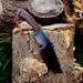 Machete Chopper Christmas Knife Tracker Outdoor Camping Backpack Forged ...