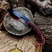 Machete Chopper Christmas Knife Tracker Outdoor Camping Backpack Forged ...