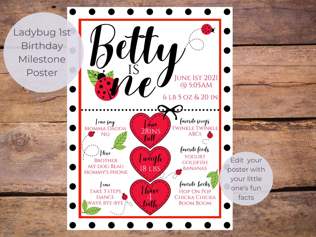 Ladybug 1st Birthday Milestone Poster, Our Little Lady is One Birthday ...