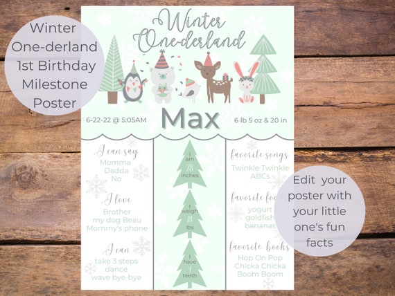 Winter One-derland Milestone Posters Winter Forest Animal 1st - Etsy