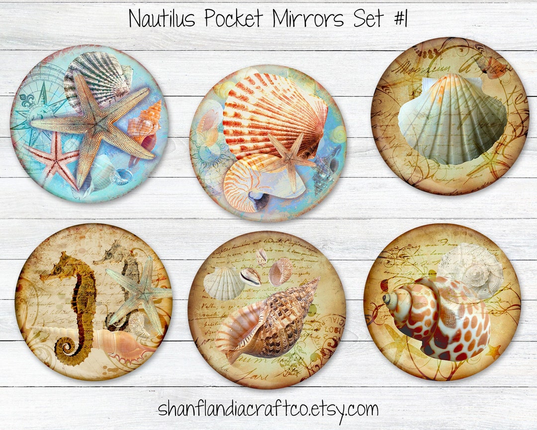 Nautilus, Seashell, Beach Inspired Pocket Mirrors 1 | Perfect Bridal ...