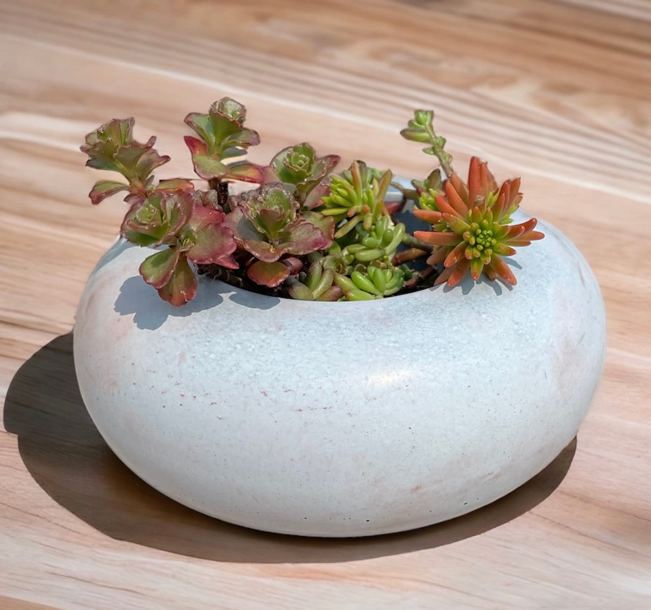 Round Zen Planter Concrete Round Zen Succulent Pot Cute Circular Flower ...