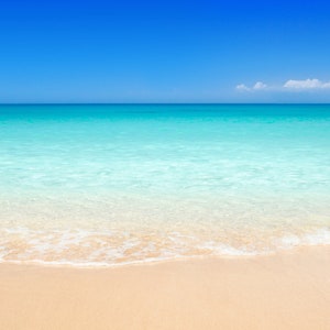 Beach Bundle, Tropical Aesthetics, Beach Backdrop, Vacation Vibes ...