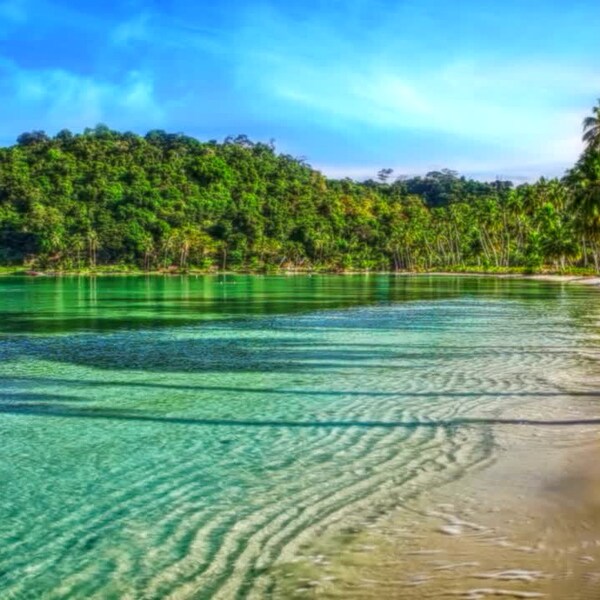 Conference Backdrops - Etsy