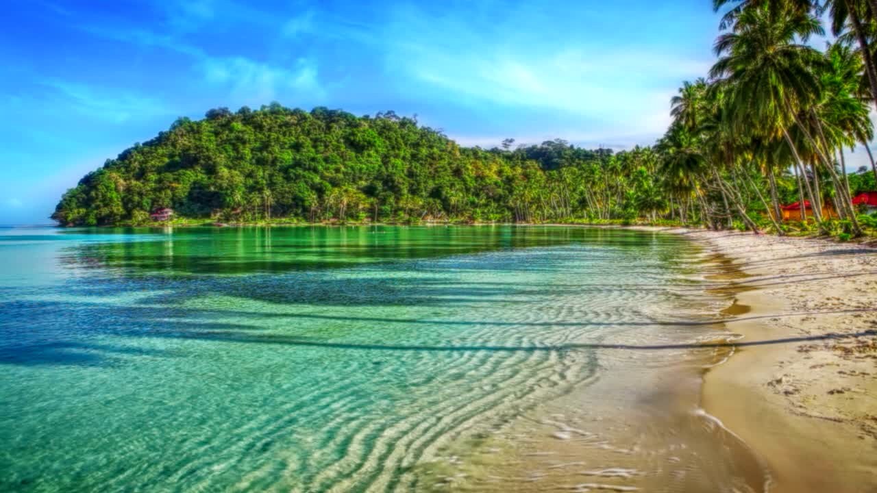 5 Beach Backdrops!!! Just Beachy, Downloadable Zoom Background, TEAMS ...