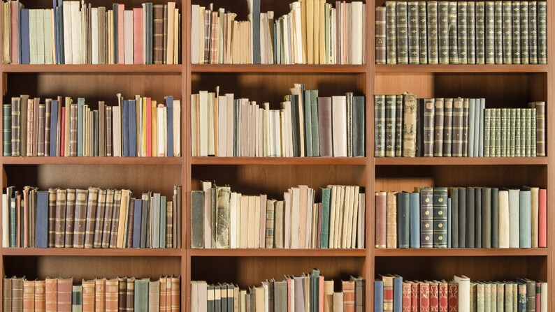 Aged Library ZOOM DIGITAL File Only - Etsy