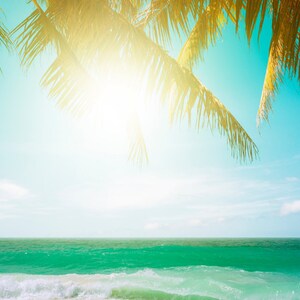 5 Beach Backdrops!!! Just Beachy, Downloadable Zoom Background, TEAMS ...