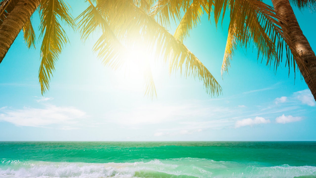 5 Beach Backdrops!!! Just Beachy, Downloadable Zoom Background, TEAMS ...