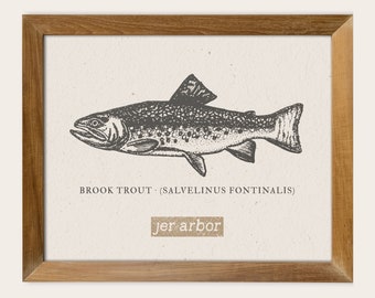 Brook Trout Drawing - Etsy
