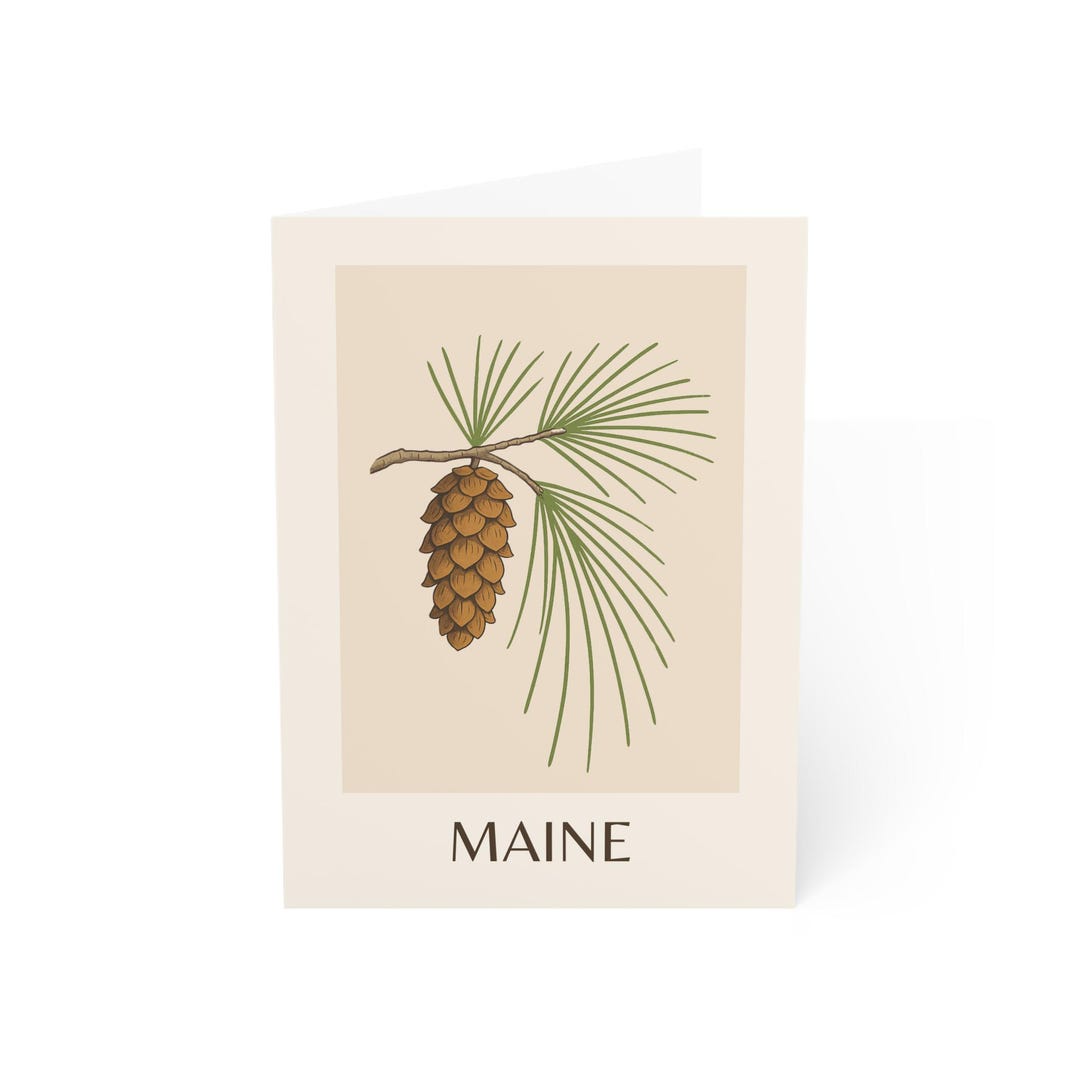 Maine State Flower Card: White Pine Cone, Mid-century Modern Greeting ...