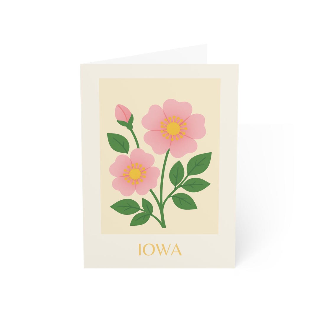 Iowa State Flower Card – Mid Century Modern Wild Rose Illustration - Etsy